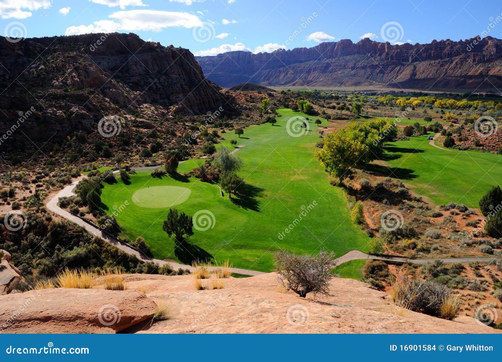 Desert Golf Course stock photo. Image of cottonwood, landscape - 16901584
