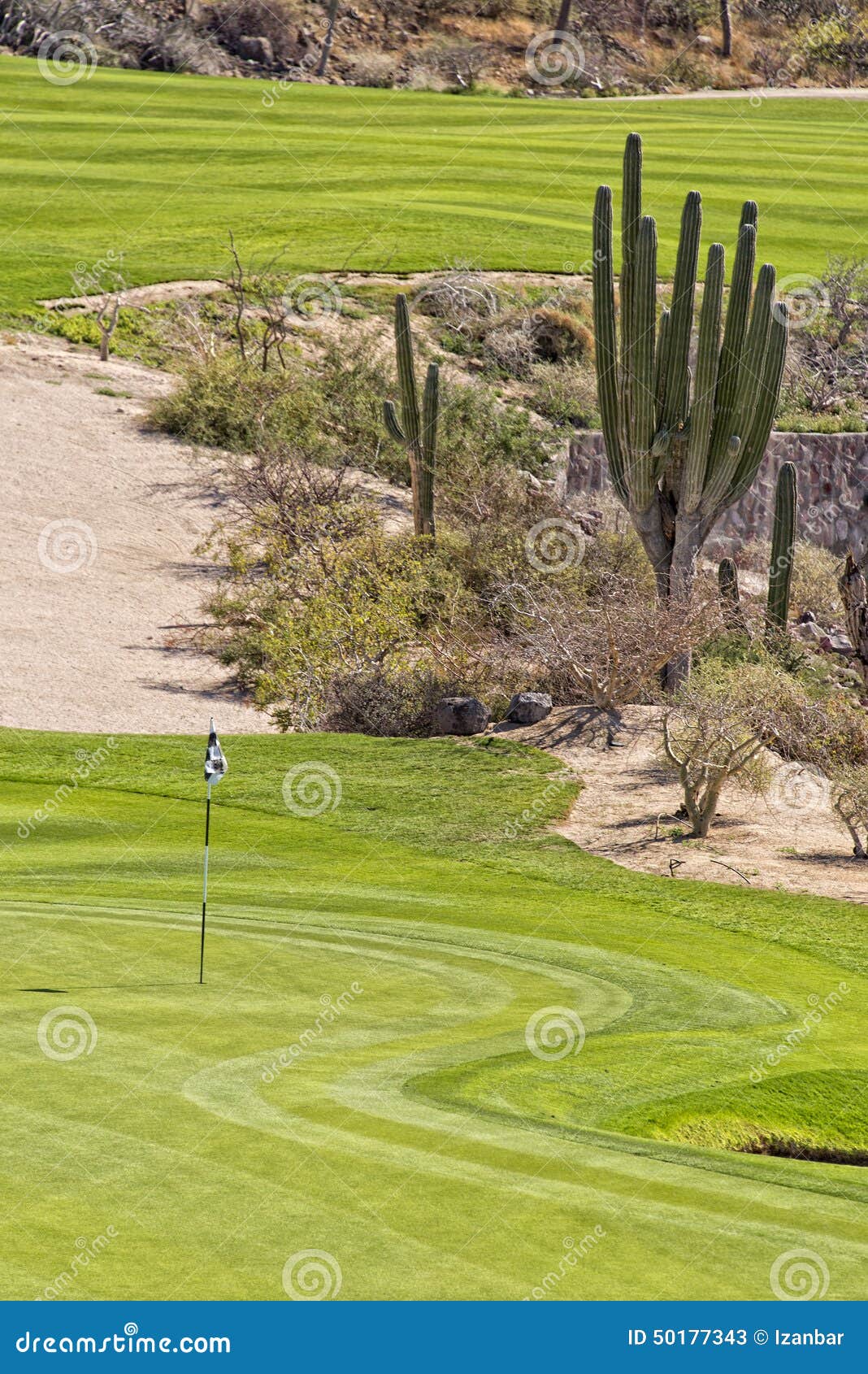 Desert golf course green stock image. Image of blue, desert - 50177343