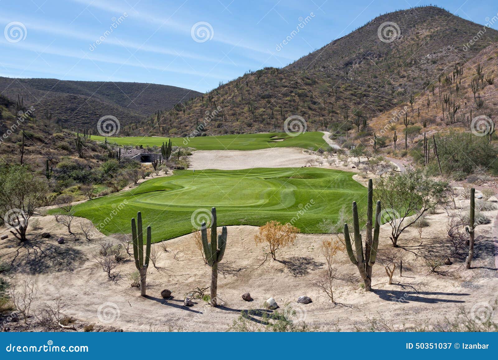 Desert golf course green stock image. Image of beautiful - 50351037