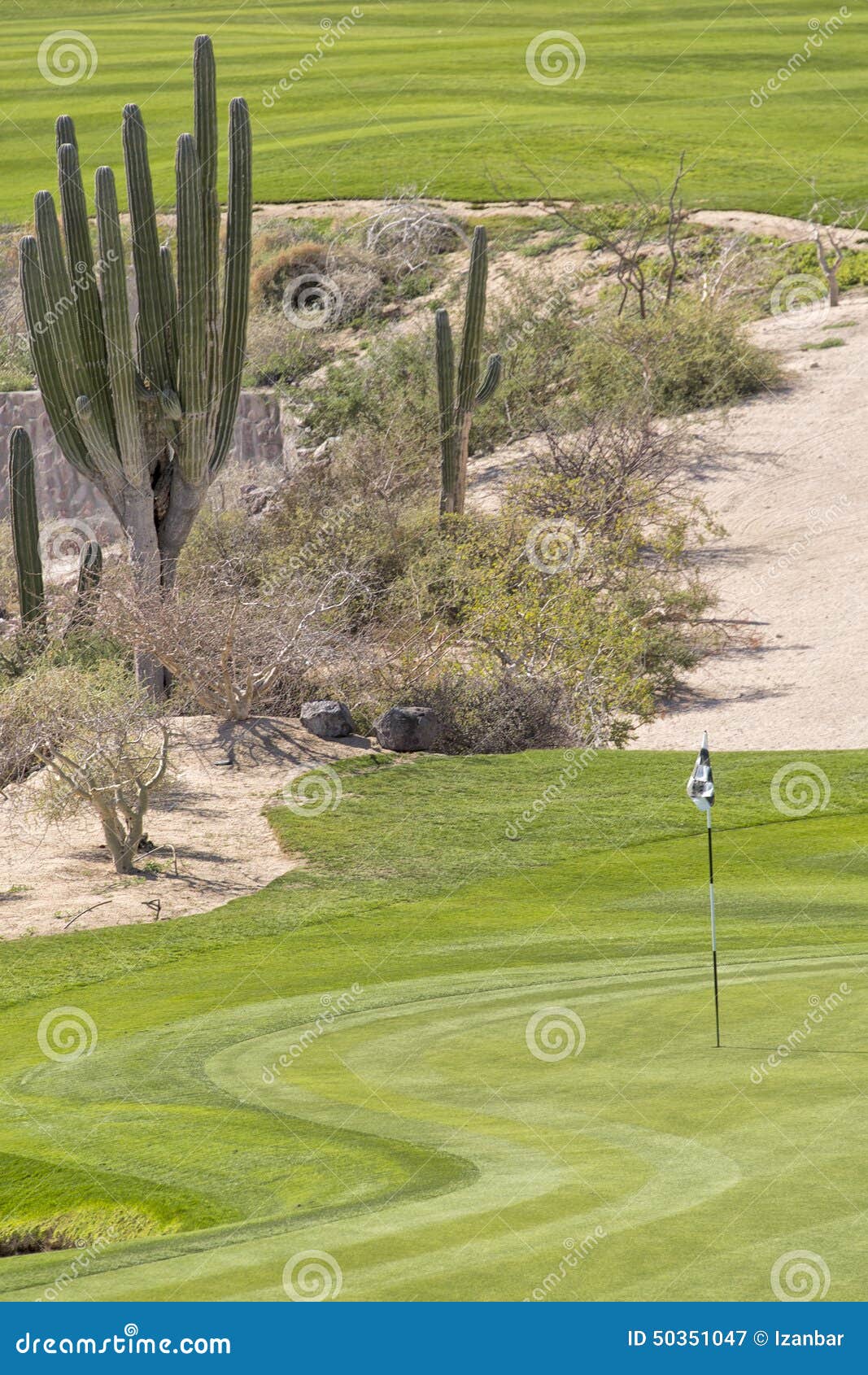 Desert golf course green stock image. Image of flag, golfer - 50351047