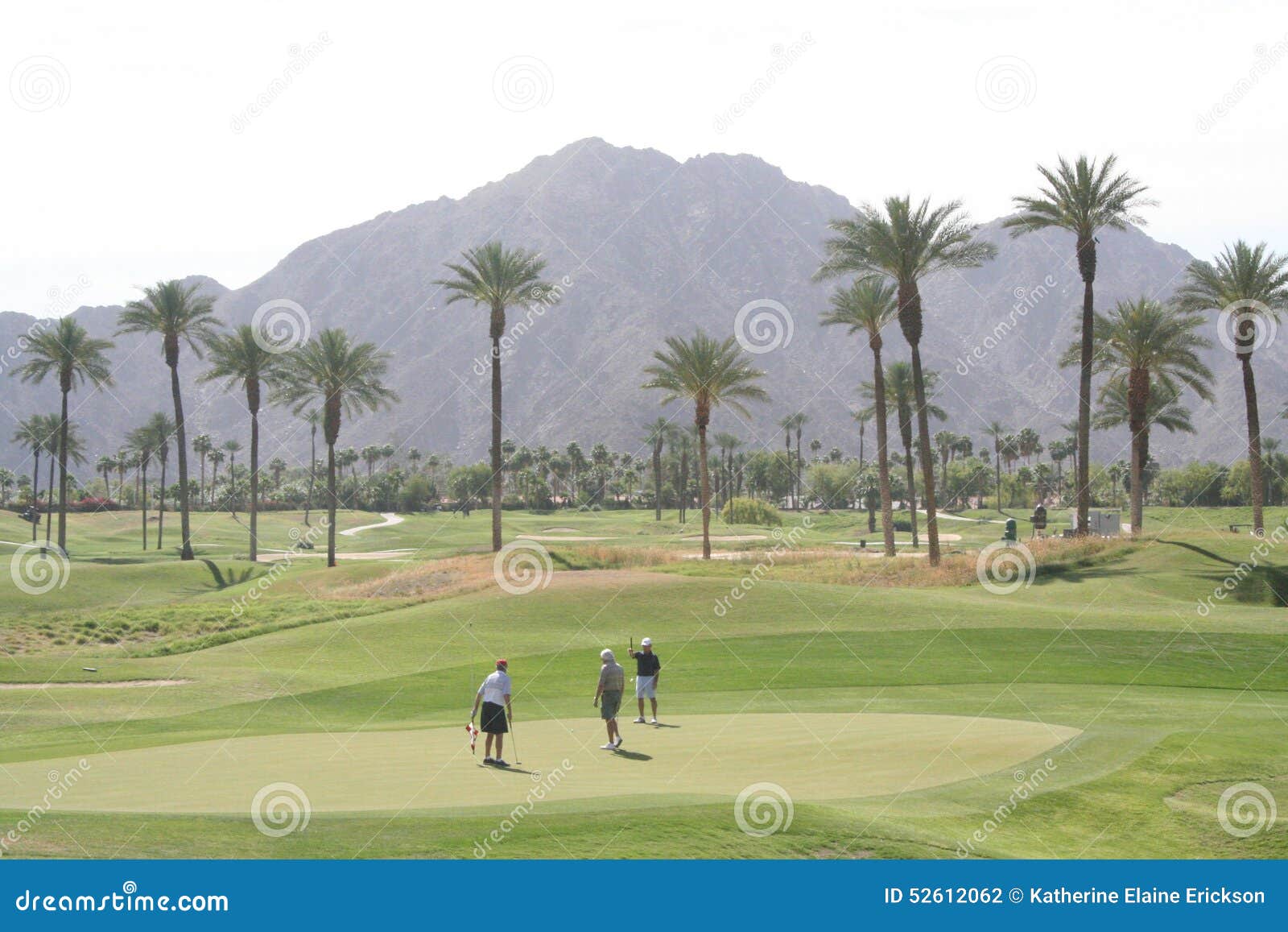 Desert Golf Course stock photo. Image of green, desert - 52612062