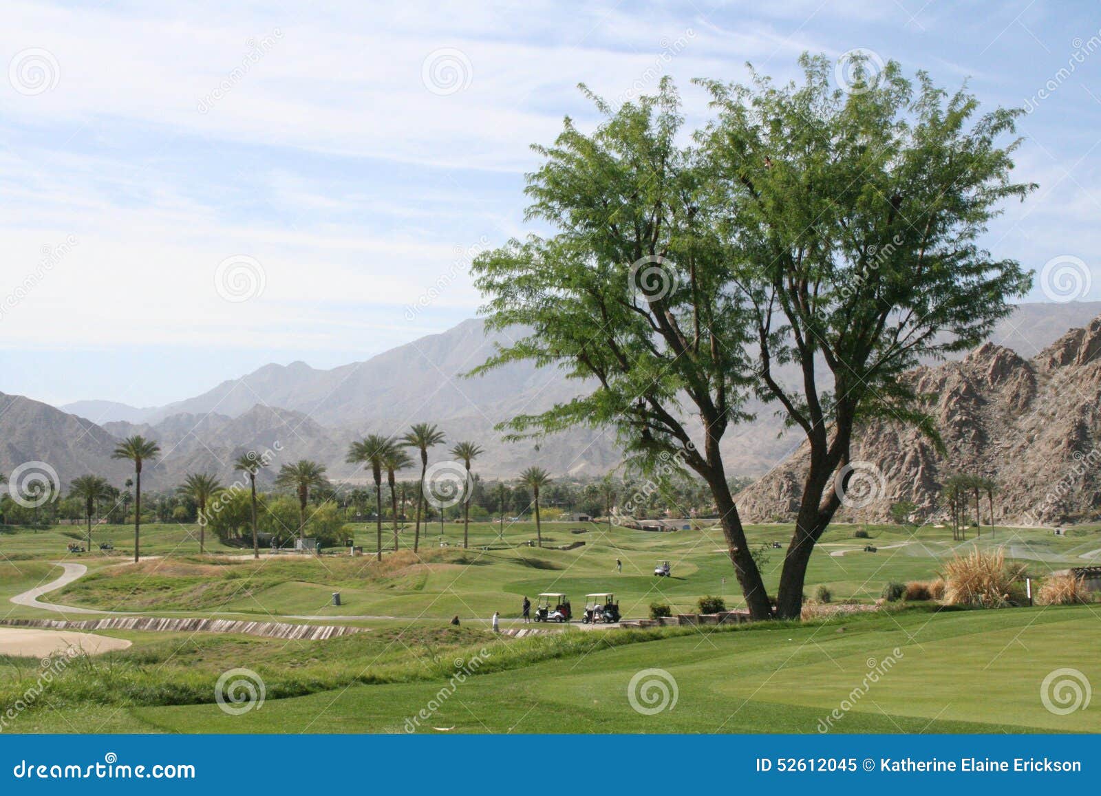 Desert Golf Course stock image. Image of california, green - 52612045