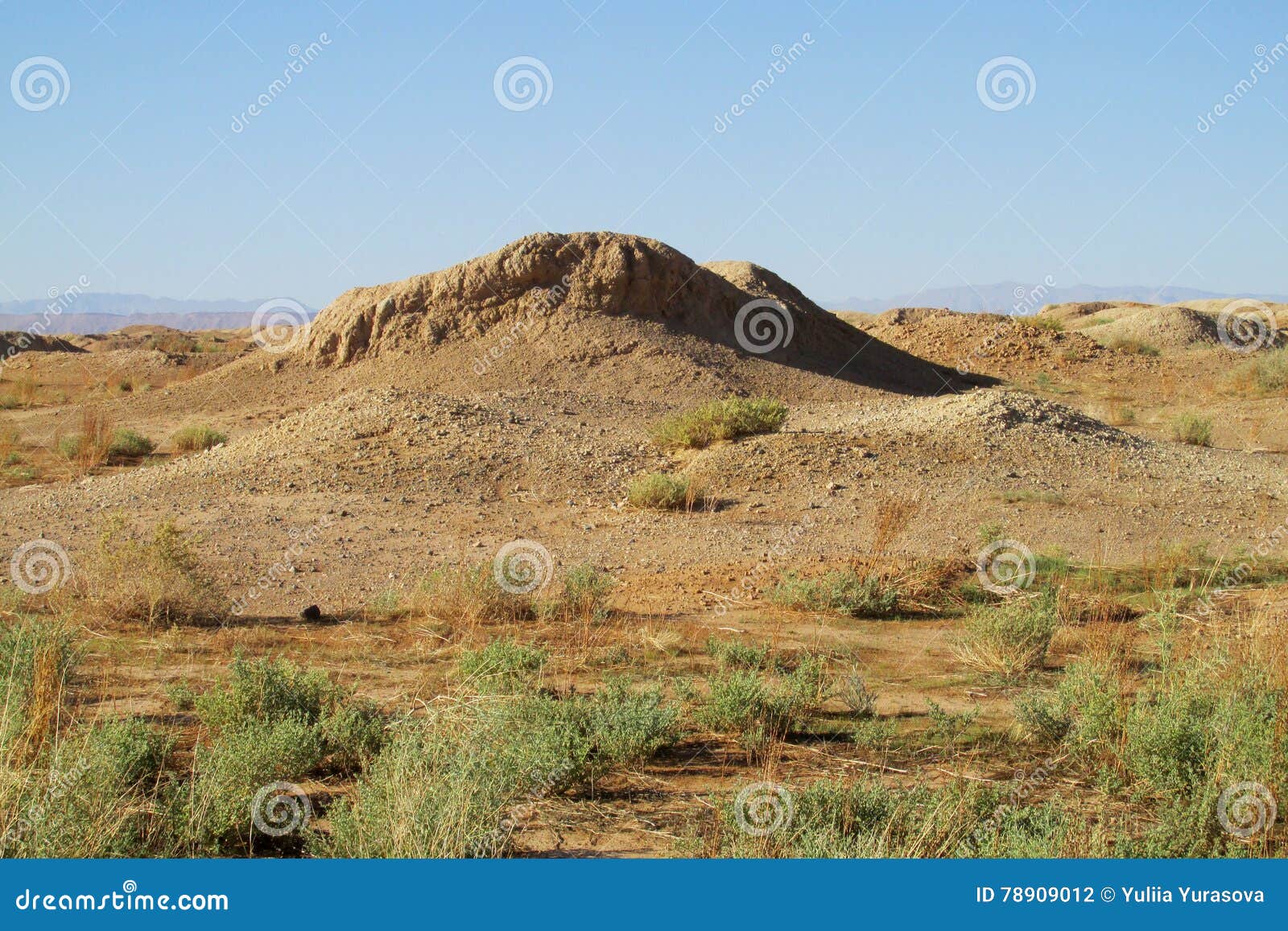 Desert ground dry whell stock photo. Image of cloud, palm - 78909012