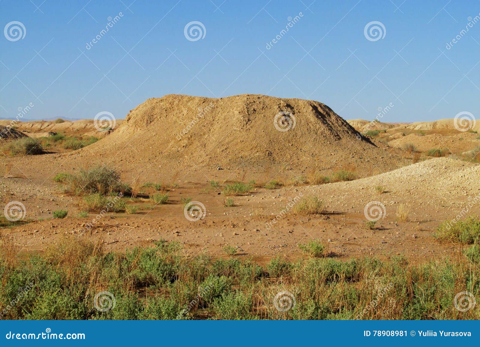 Desert ground whell stock image. Image of leaf, beautiful - 78908981