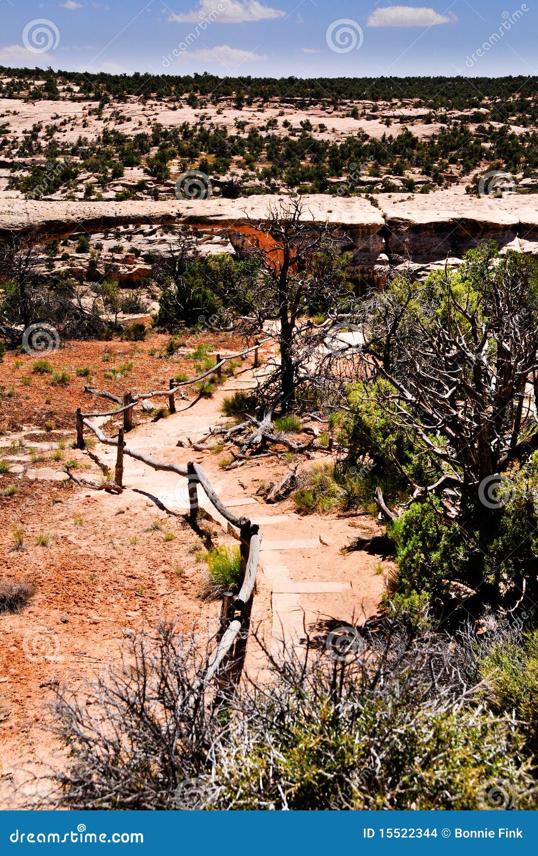 Desert Hiking trail stock photo. Image of arid, america - 15522344