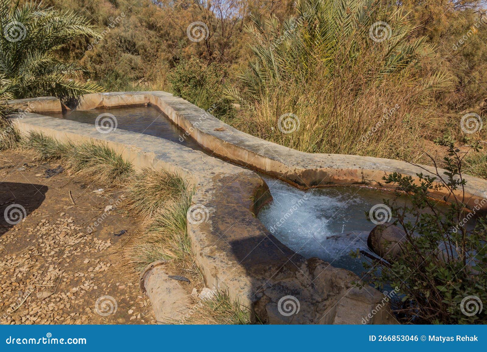 Desert Hot Spring in Bahariya Oasis, Egy Stock Photo - Image of ...