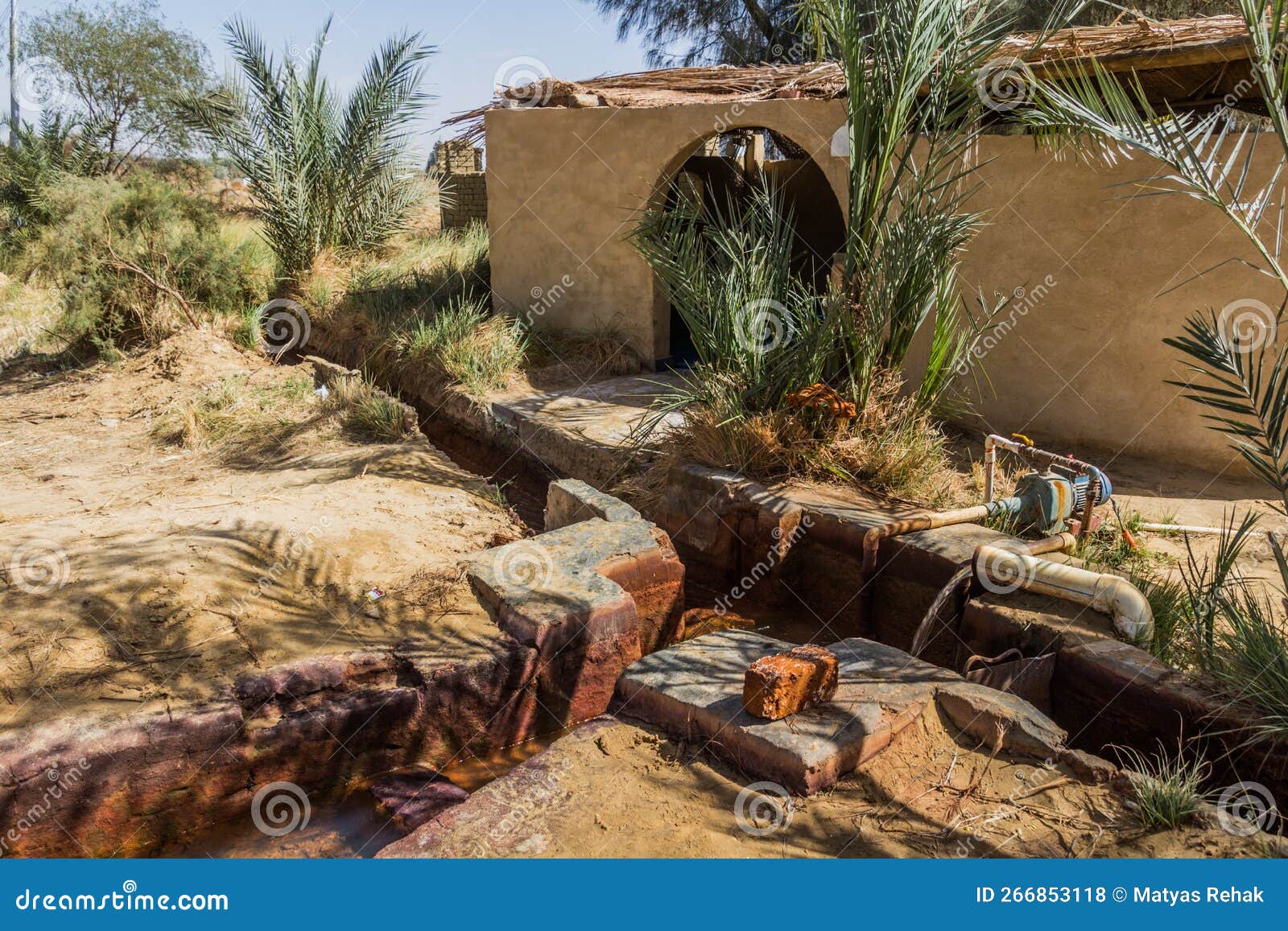 Desert Hot Spring in Bahariya Oasis, Egy Stock Photo - Image of ...