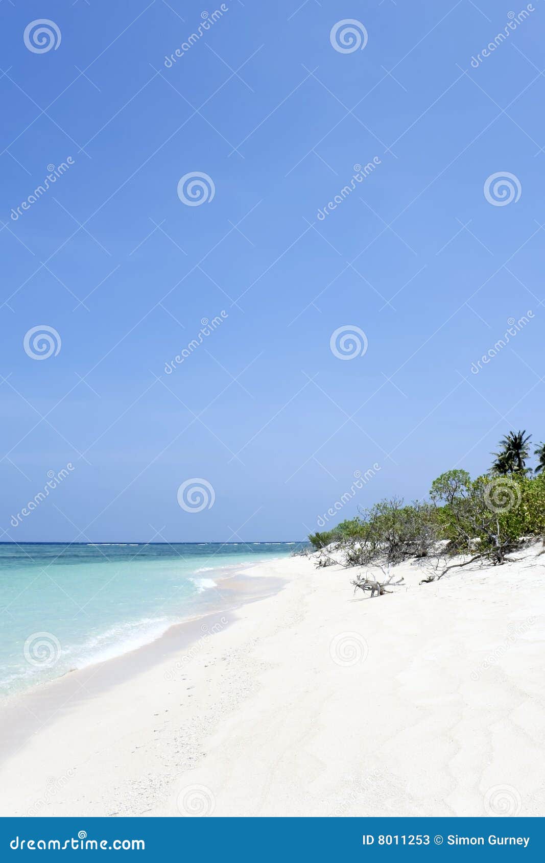 Desert Island Beach Blue Sky Background Stock Image - Image of quiet ...