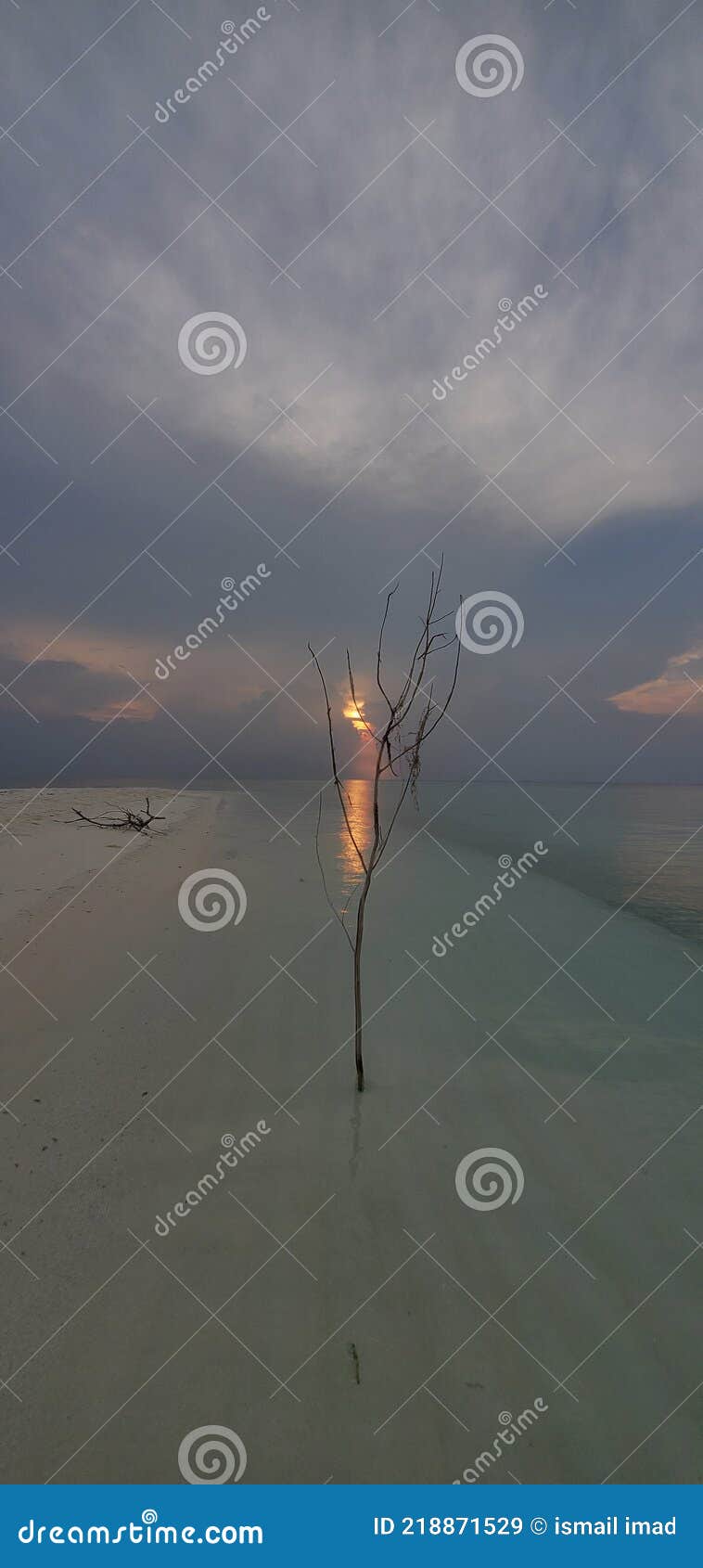 Desert island Sunset stock image. Image of mast, desert - 218871529