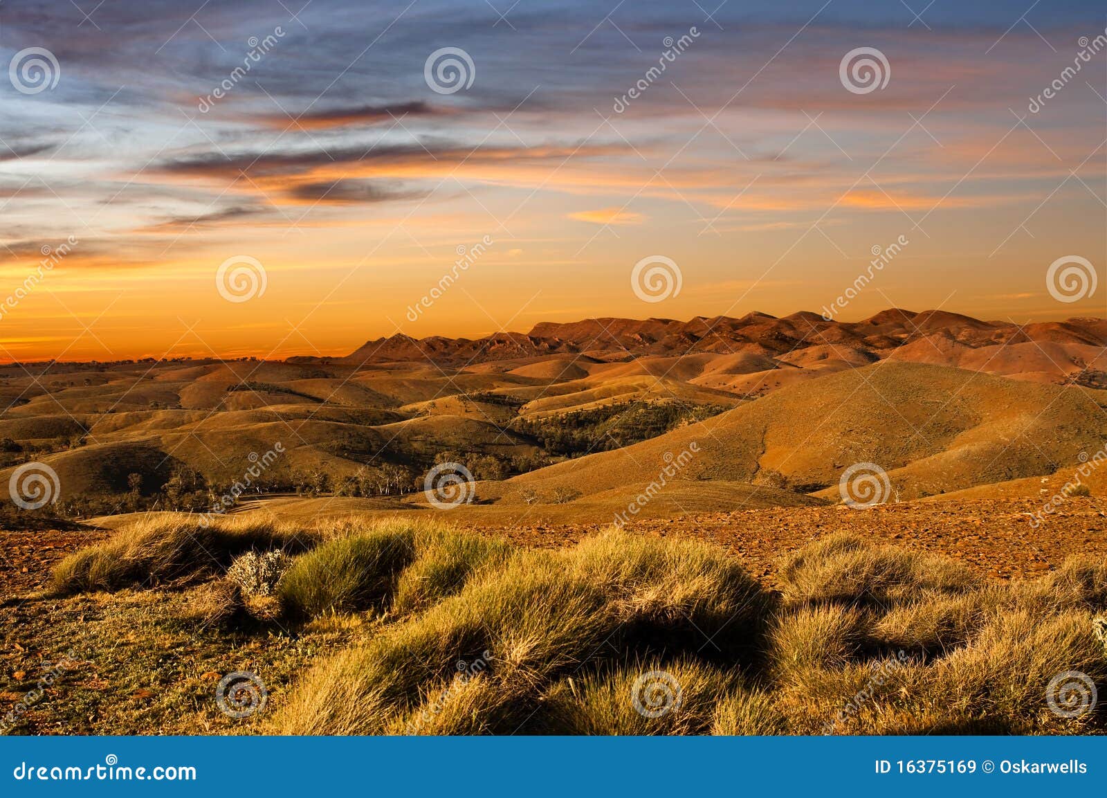 Desert land sunset stock image. Image of bush, hill, ochre - 16375169