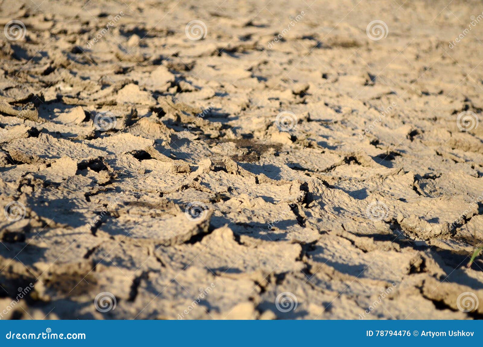 Desert lands stock photo. Image of nature, soil, pieces - 78794476