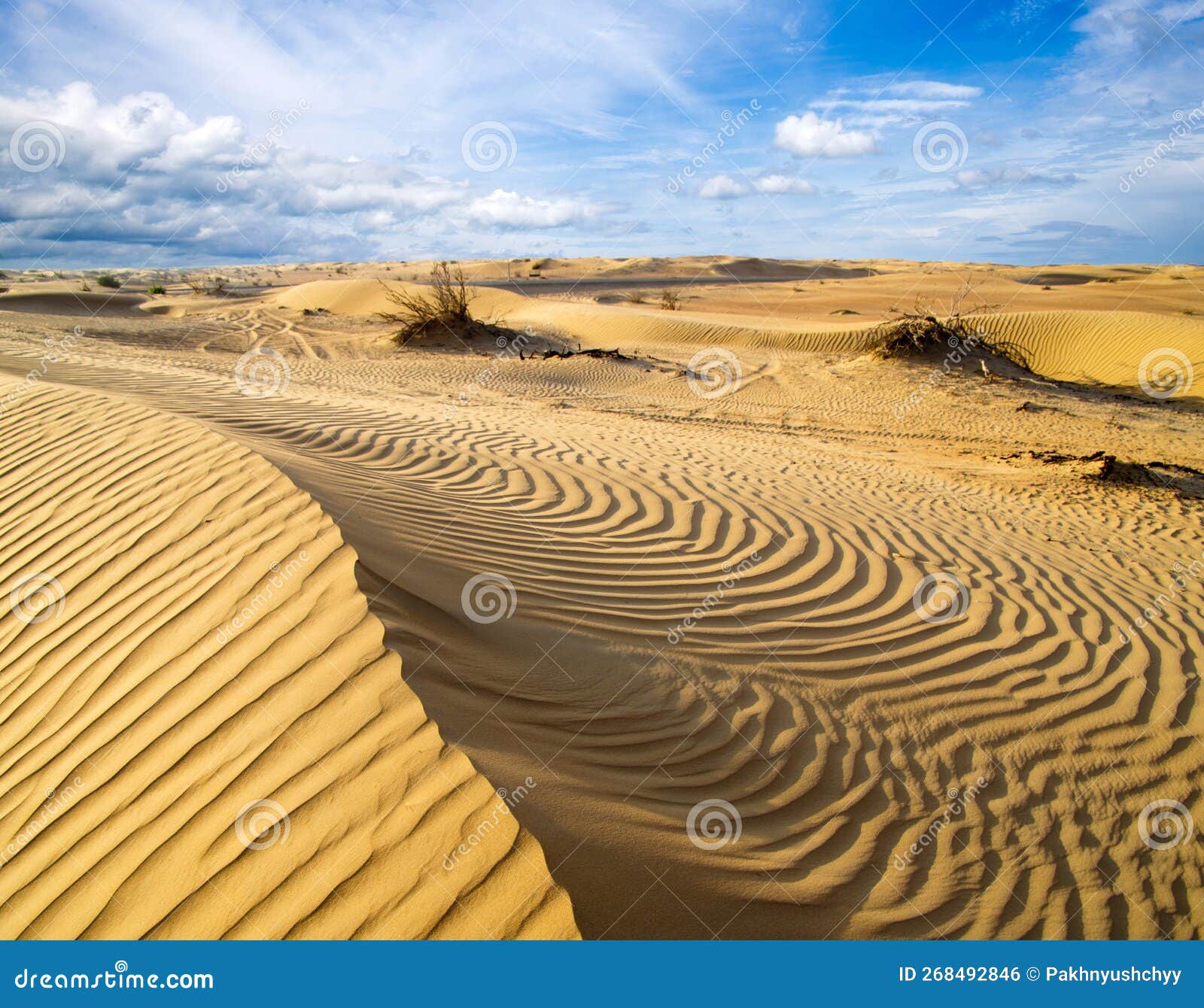 Desert landscape stock photo. Image of skyline, hummock - 268492846