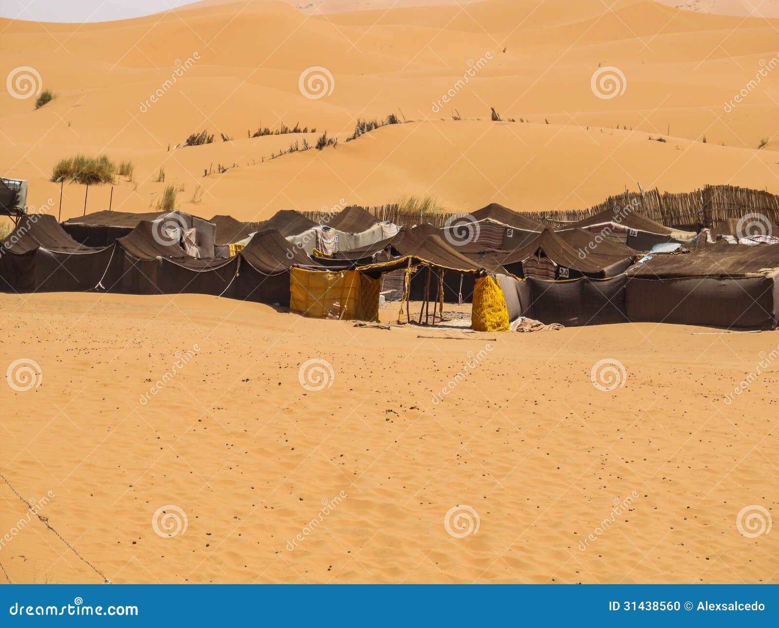Desert landscape stock photo. Image of tent, summer, nature - 31438560