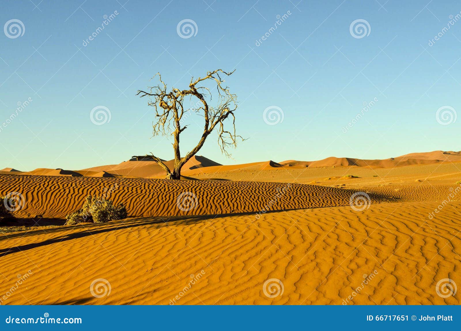Desert Landscape of Namibia Stock Image - Image of stunning, sossusviel ...