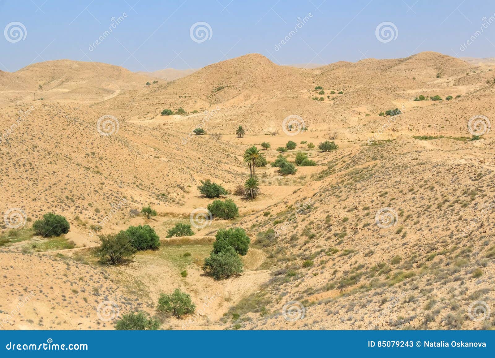 Desert Landscape in North Africa Stock Image - Image of panoramic ...