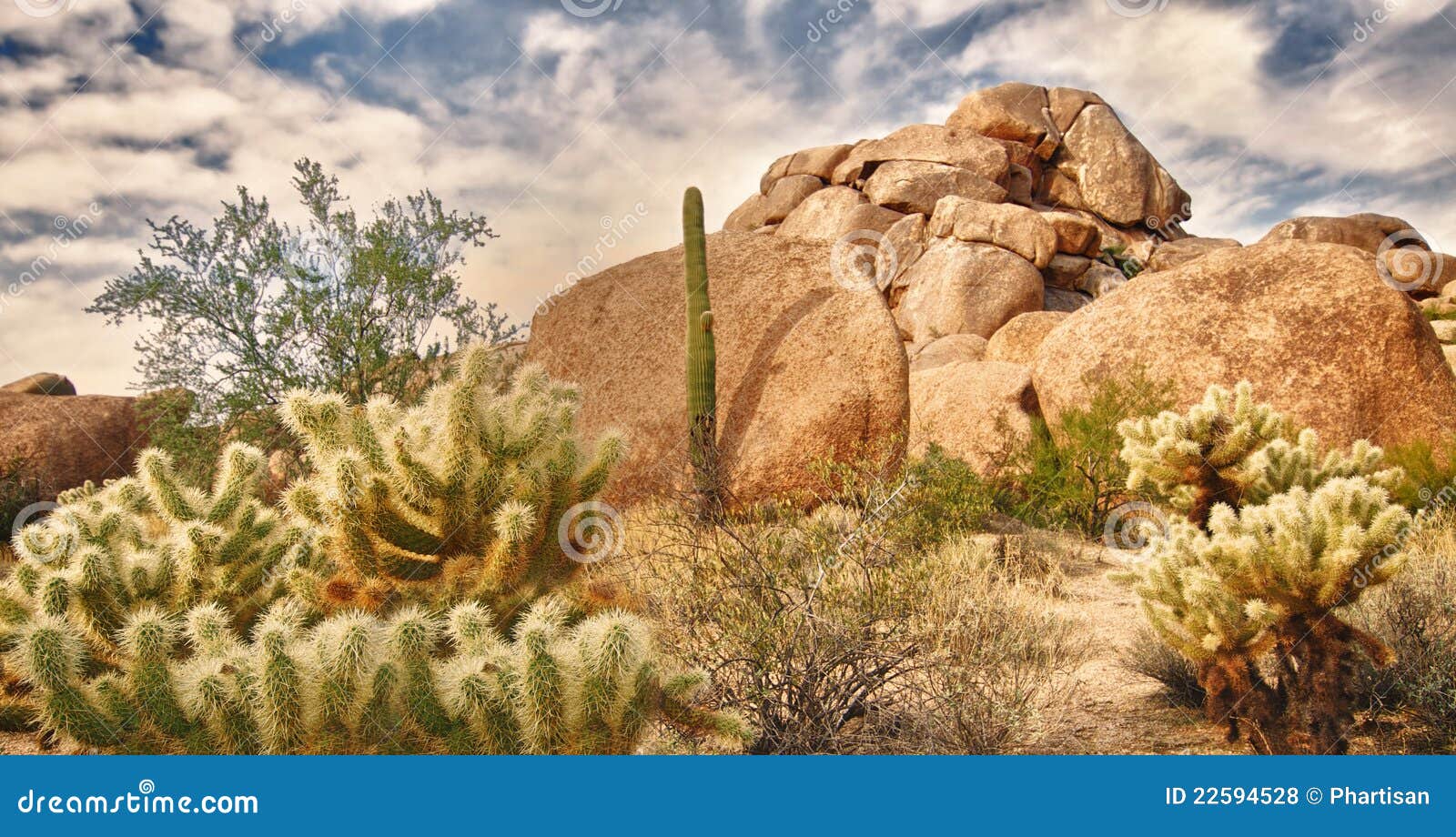 Desert Landscape with Saguaro Cacti and Rock B Stock Photo - Image of ...