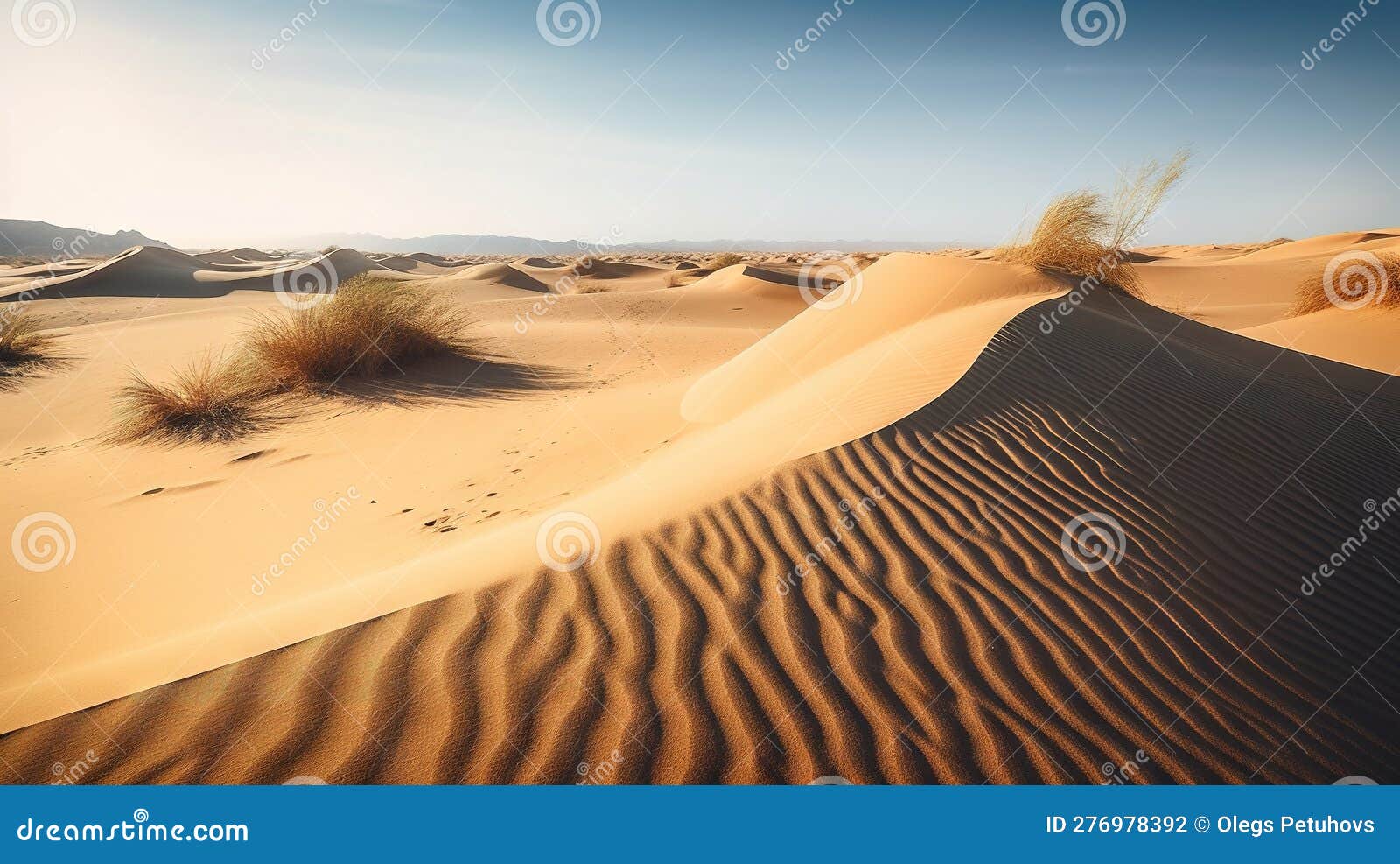 A Desert Landscape with Sand Dunes and Grass in the Foreground Stock ...