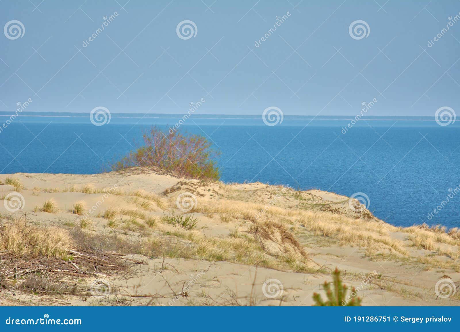 Desert Landscape. Sand, Sparse Vegetation Stock Image - Image of ...