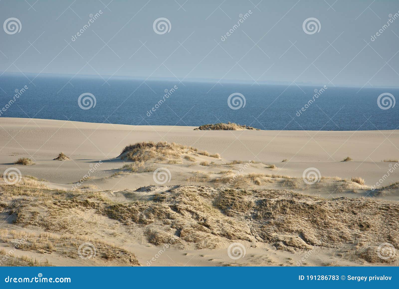 Desert Landscape. Sand, Sparse Vegetation Stock Image - Image of clouds ...