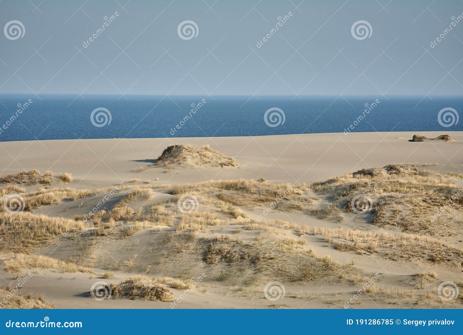 Desert Landscape. Sand, Sparse Vegetation Stock Image - Image of color ...