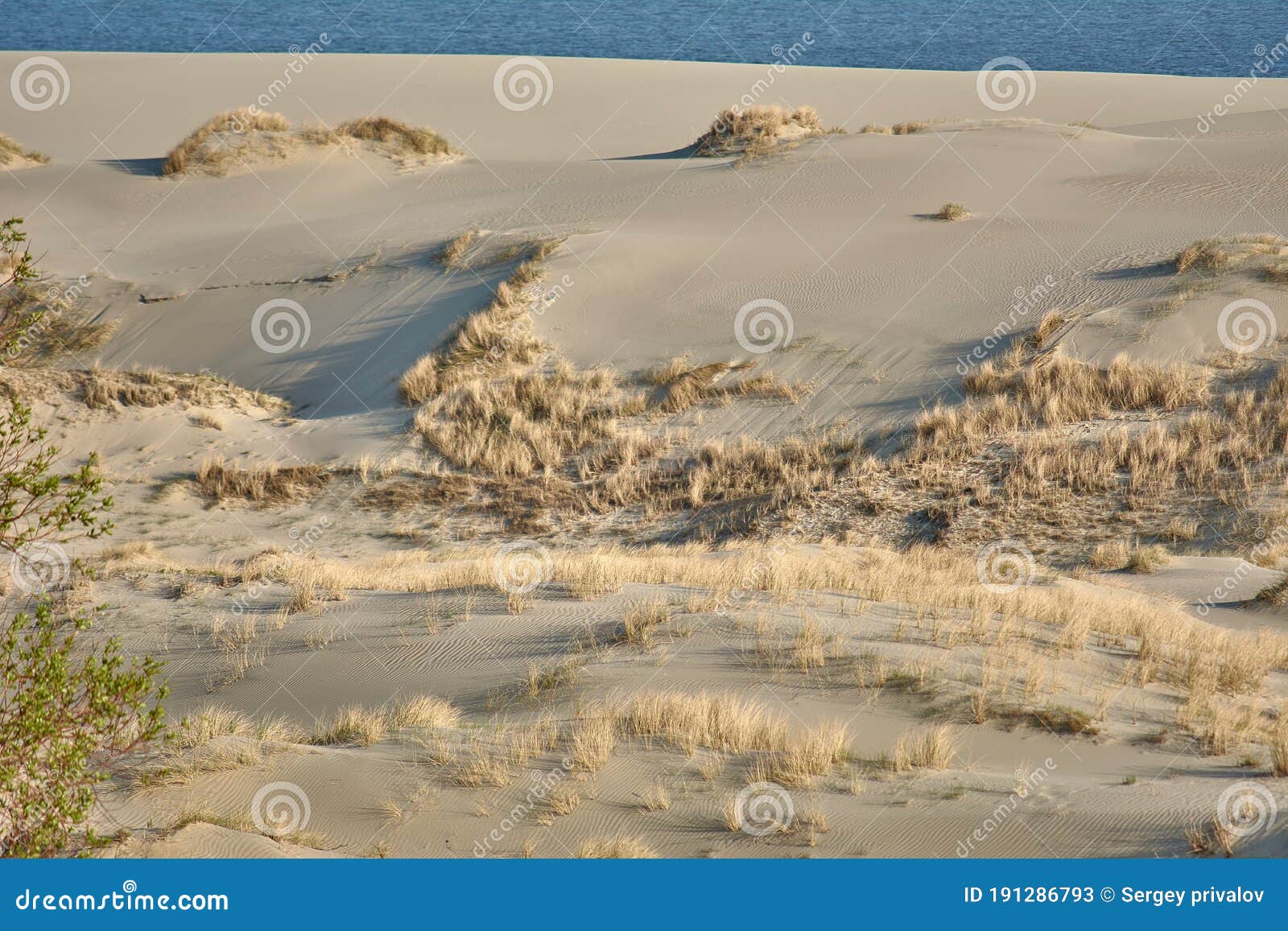 Desert Landscape. Sand, Sparse Vegetation Stock Image - Image of russia ...