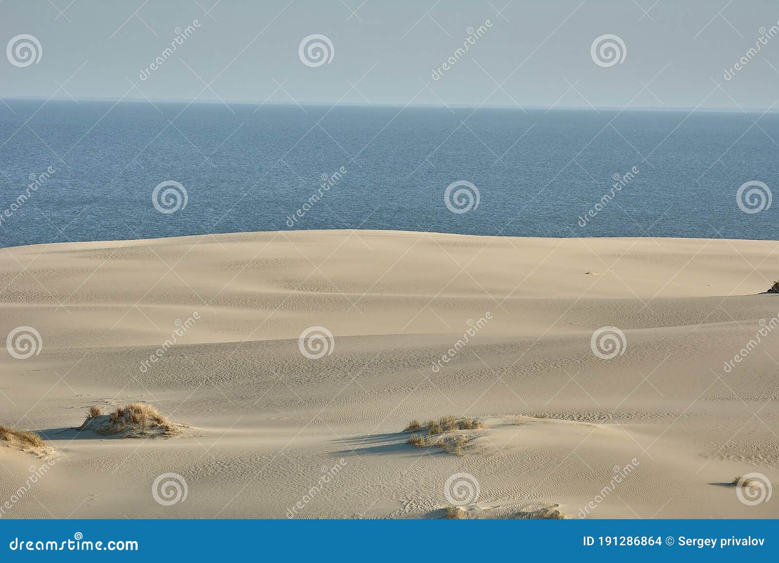 Desert Landscape. Sand, Sparse Vegetation Stock Photo - Image of clouds ...