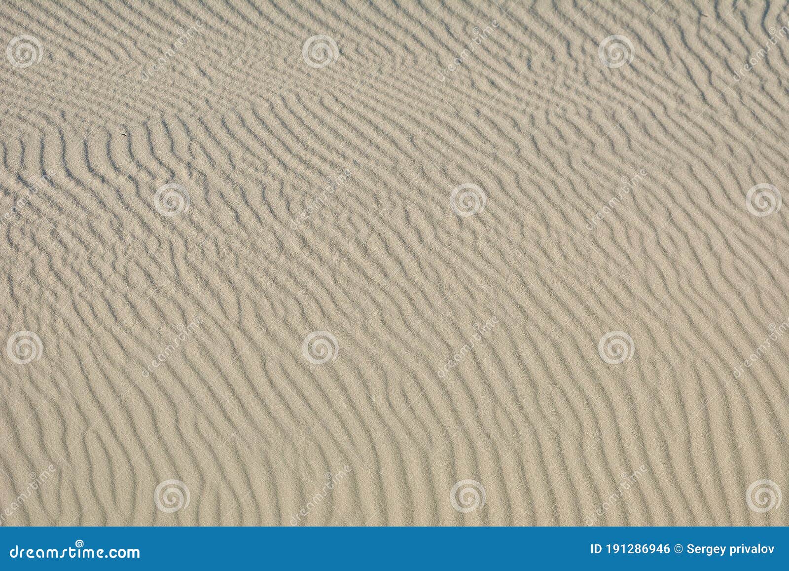 Desert Landscape. Sand, Sparse Vegetation Stock Photo - Image of ...
