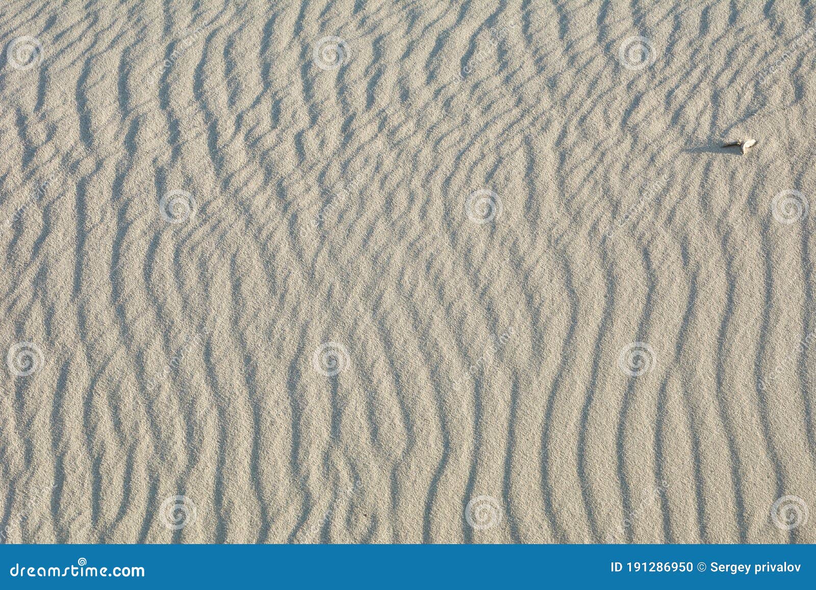 Desert Landscape. Sand, Sparse Vegetation Stock Photo - Image of ...