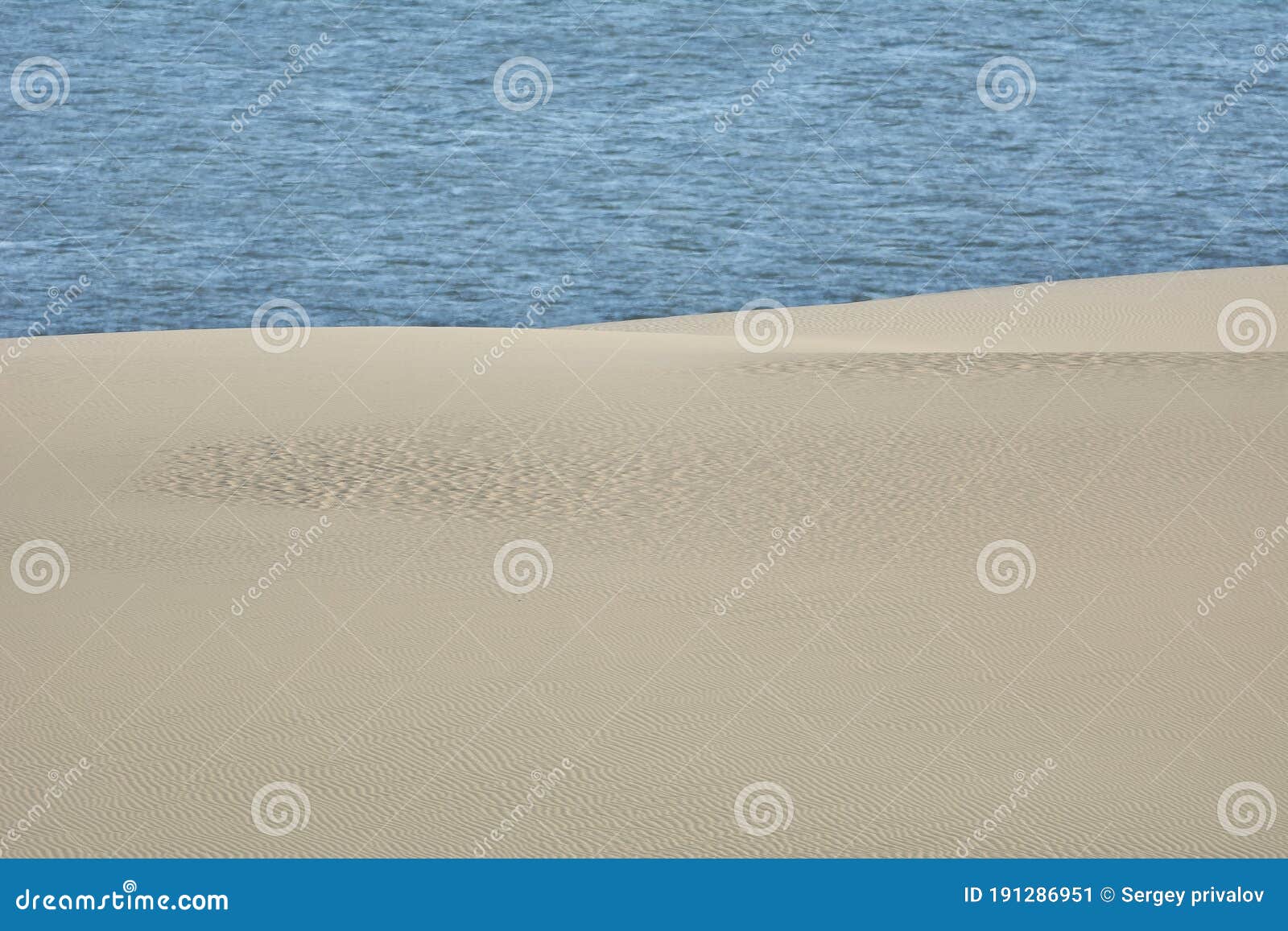 Desert Landscape. Sand, Sparse Vegetation Stock Image - Image of ...