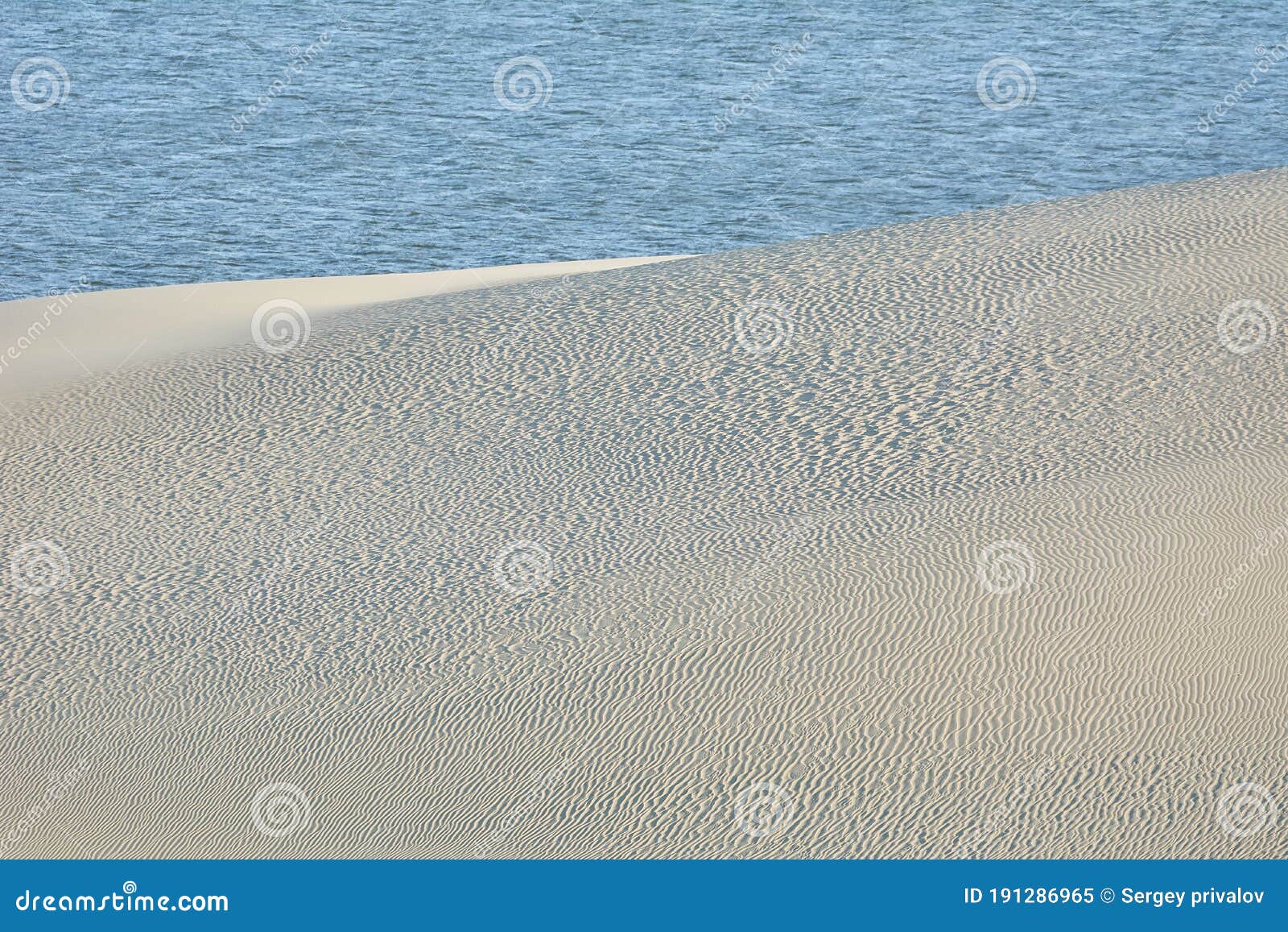 Desert Landscape. Sand, Sparse Vegetation Stock Image - Image of ...