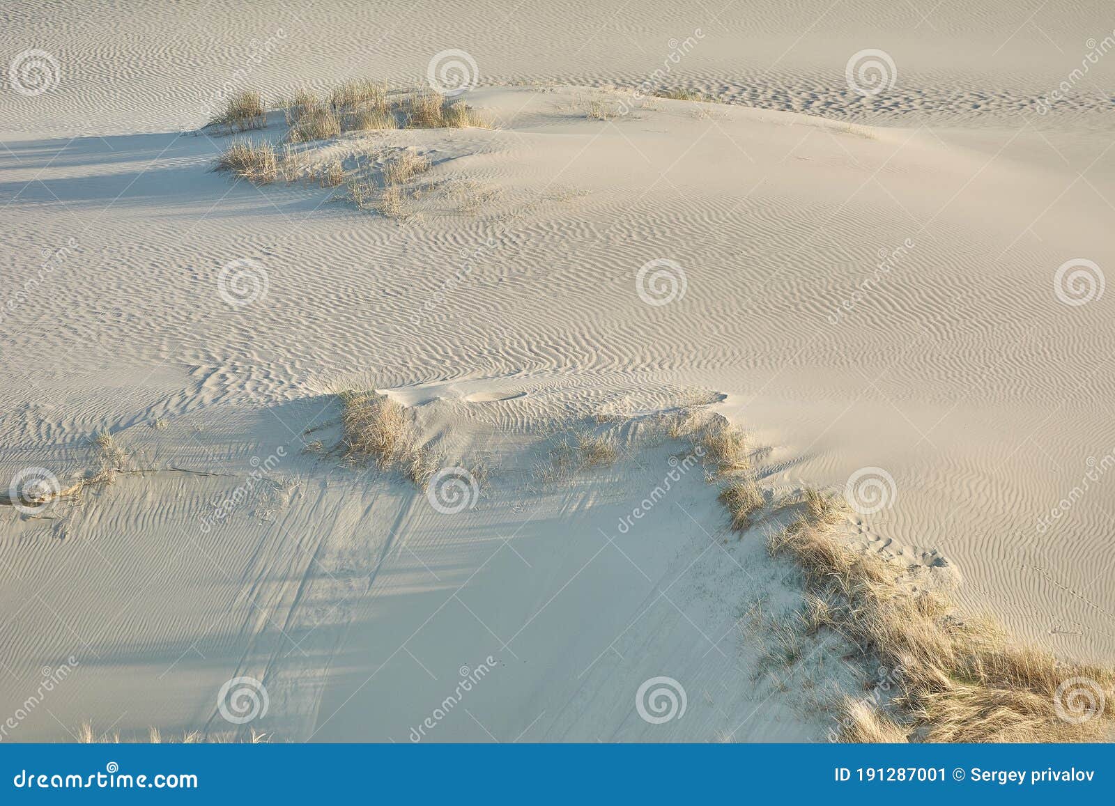 Desert Landscape. Sand, Sparse Vegetation Stock Image - Image of park ...