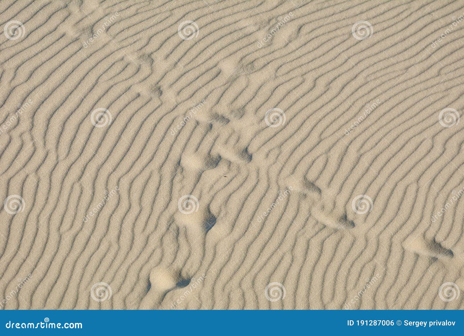 Desert Landscape. Sand, Sparse Vegetation Stock Photo - Image of color ...