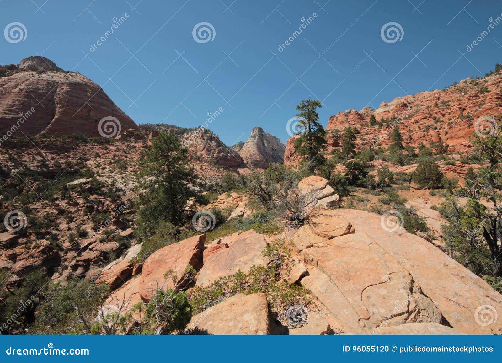 Desert Landscape With Scrub Picture. Image: 96055120