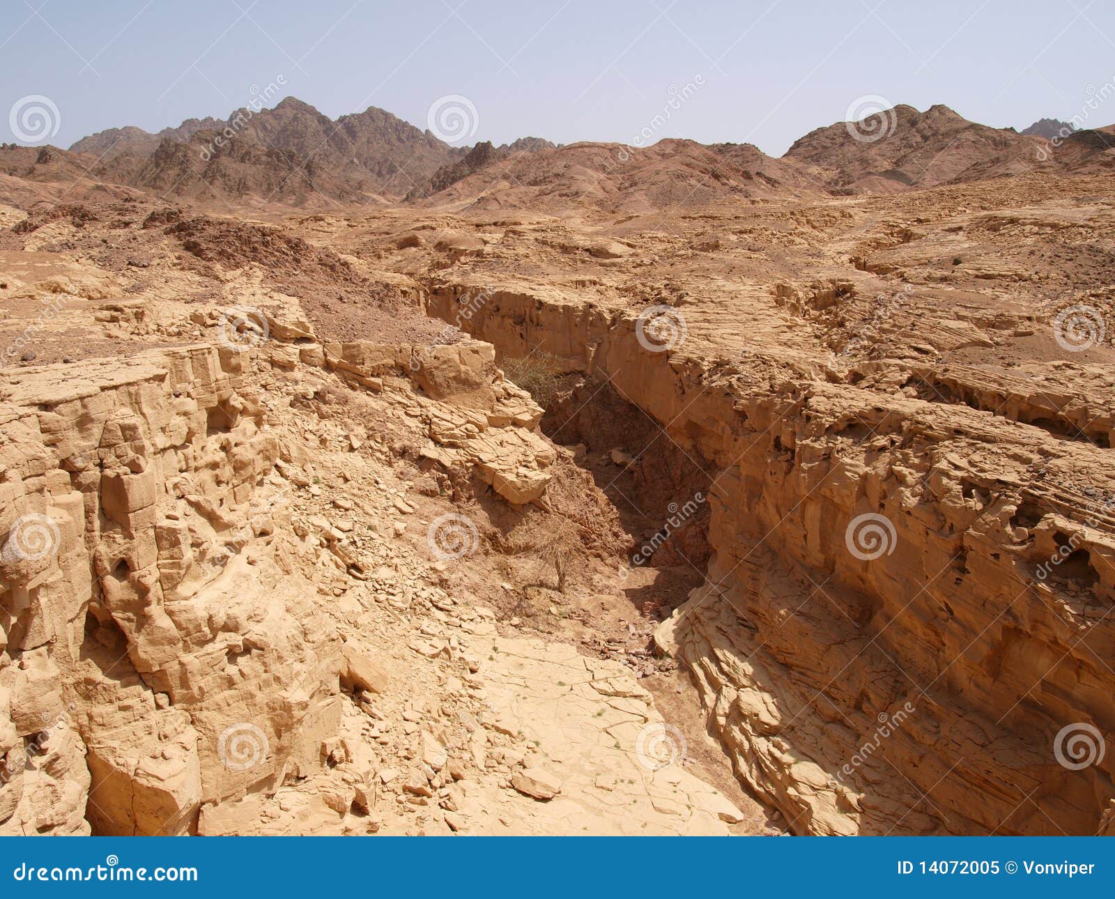 Desert Landscape of Sinai Peninsula Stock Image - Image of sunny, sinai ...