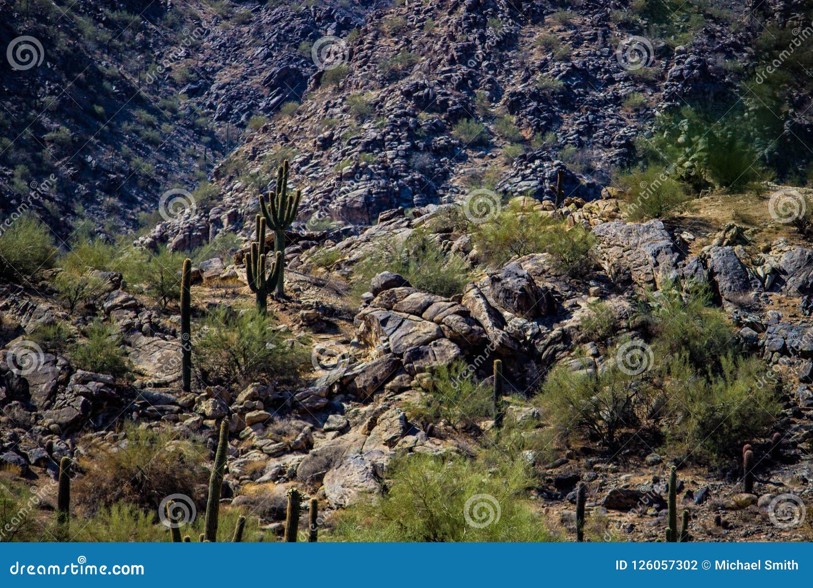 Arizona Summer in the Desert Stock Photo - Image of rocks, cactus ...