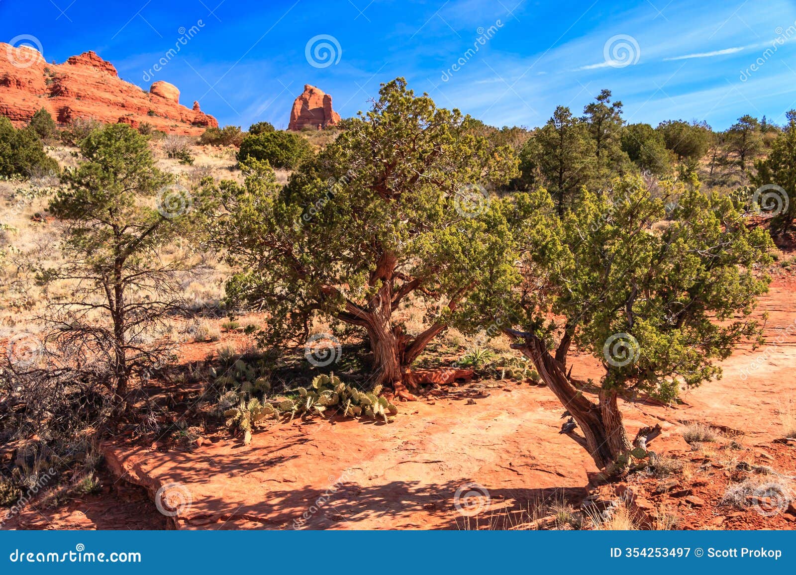 A Desert Landscape with a Tree in the Foreground Stock Image - Image of ...