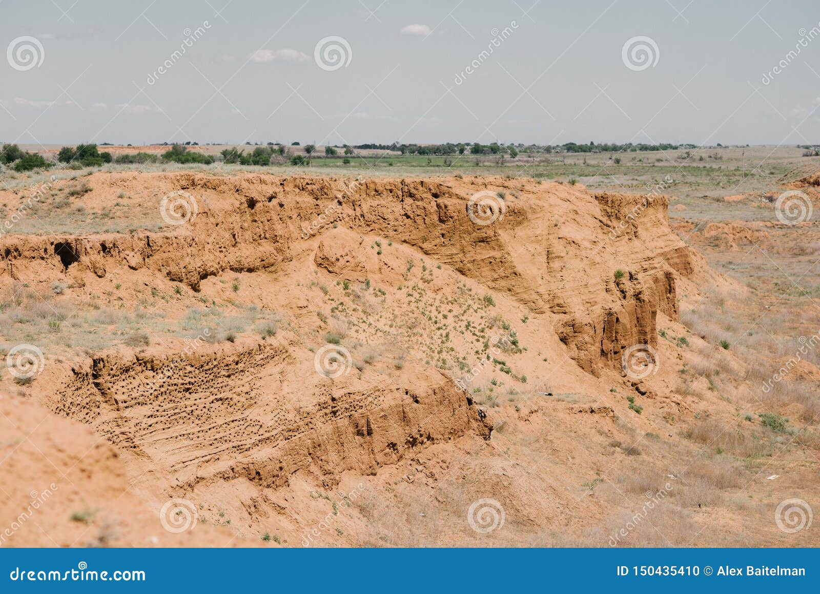 Desert Landscape and Vegetation in the Desert Stock Photo - Image of ...