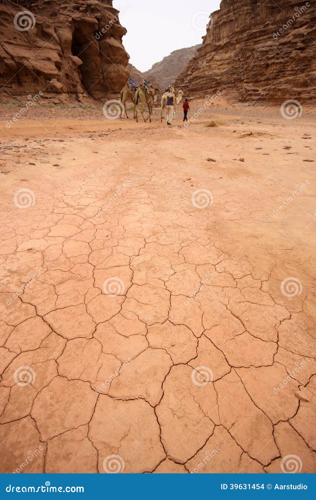 Landscape Of A Wadi In Ein Avdat National Park Royalty-Free Stock ...