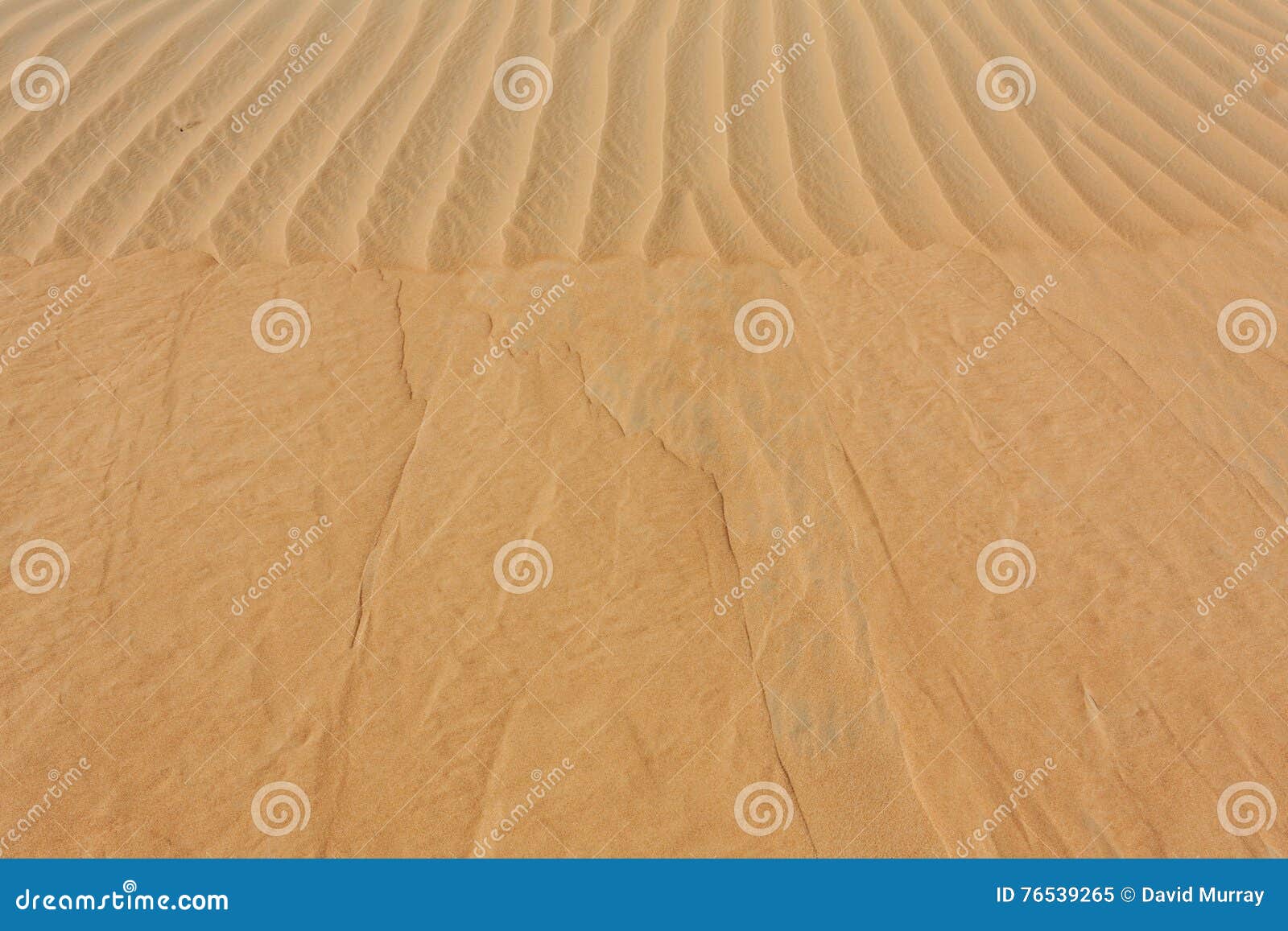 Desert Landslide Sand Texture Stock Image - Image of beach, early: 76539265