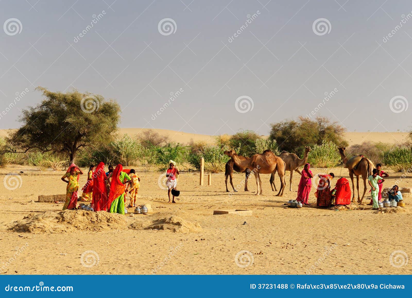 Desert life in India editorial stock photo. Image of india - 37231488