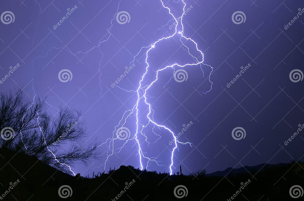 Desert Lightning stock image. Image of branch, nature - 2335103