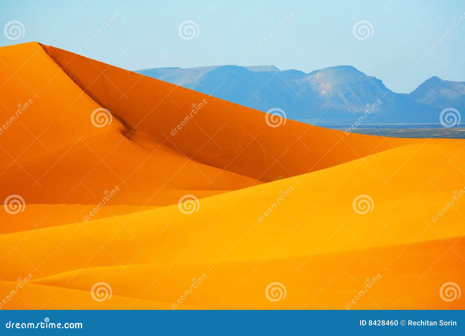 Desert lines stock photo. Image of line, holiday, heat - 8428460