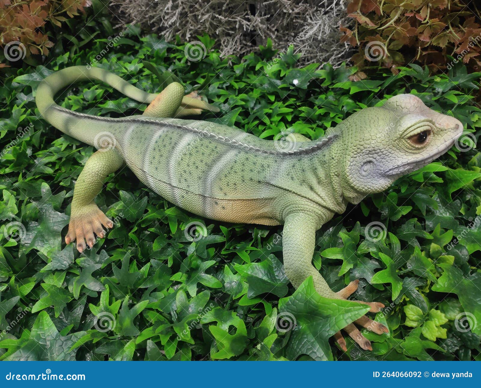 Desert Lizards Stock Photo | CartoonDealer.com #27044400