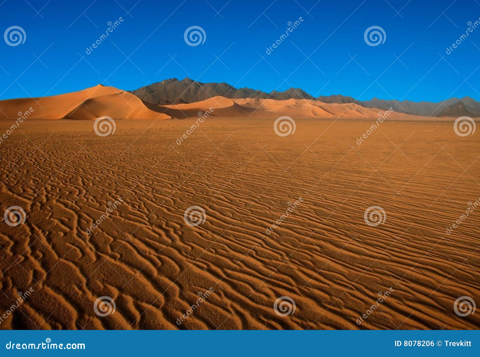 Desert meets the mountains stock photo. Image of beautiful - 8078206