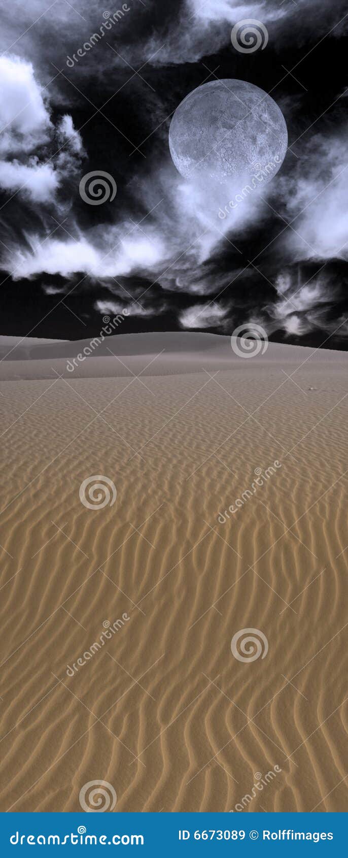 Desert Moon stock image. Image of cactus, bush, nature - 6673089