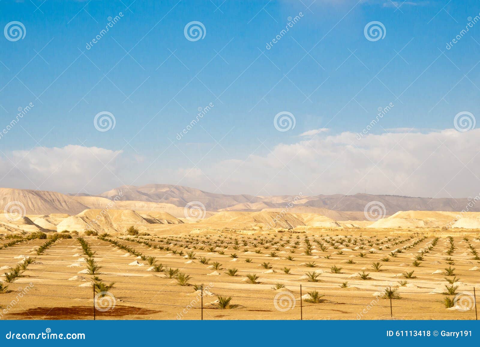 Desert and Mountain Scenery. Israel Stock Photo - Image of fences, date ...