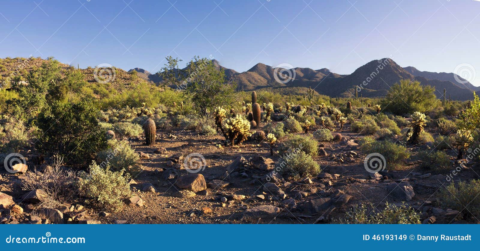 Desert Mountains and Plains of Arizona Stock Image - Image of plants ...