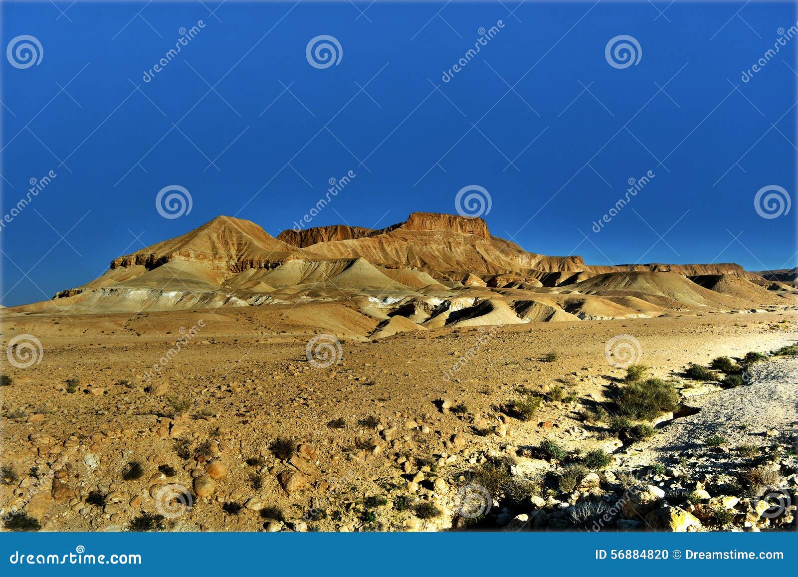 Desert Negev stock photo. Image of israel, arava, negev - 56884820