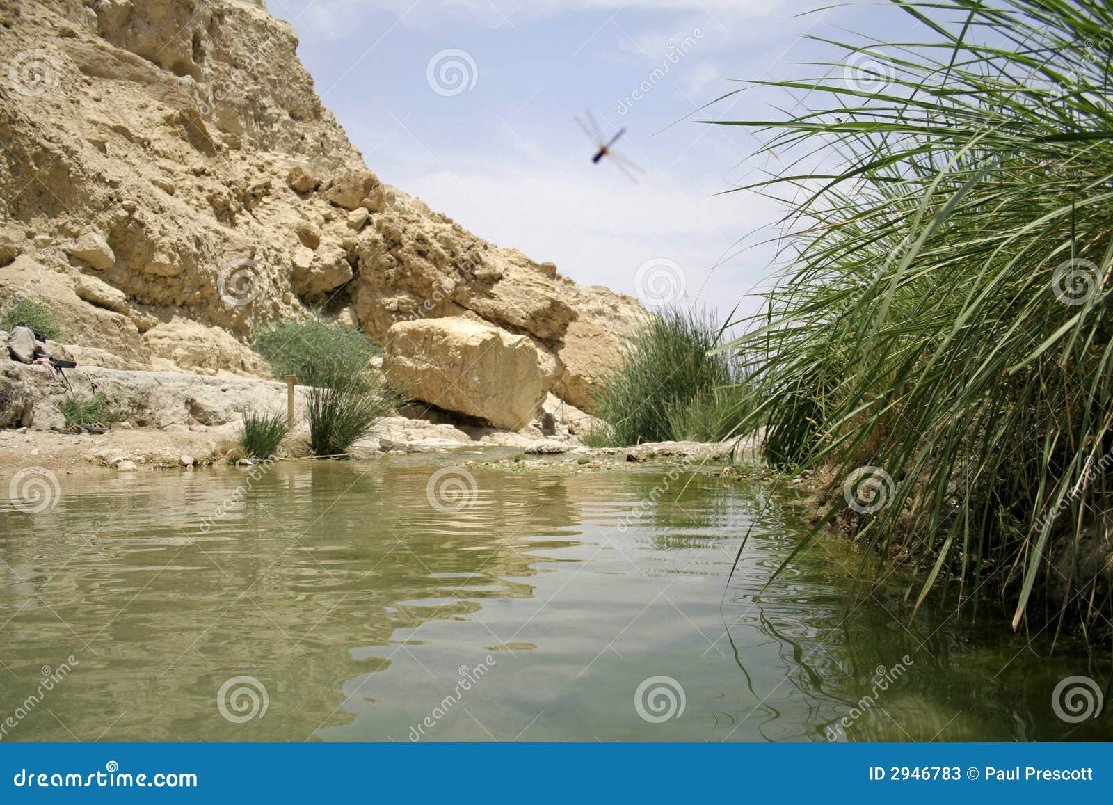 Desert Oasis Aerial Landscape Royalty-Free Stock Photography ...