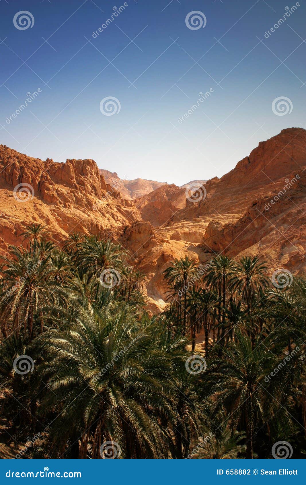 Desert Oasis Aerial Landscape Royalty-Free Stock Photography ...